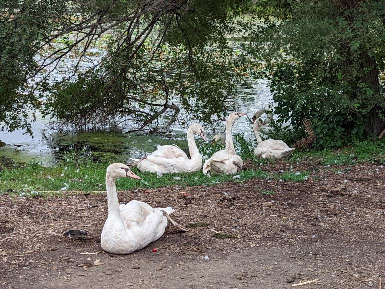 Hiking at Lake Katherine And Biking At Cal-Sag Trail, Palos Heights ...