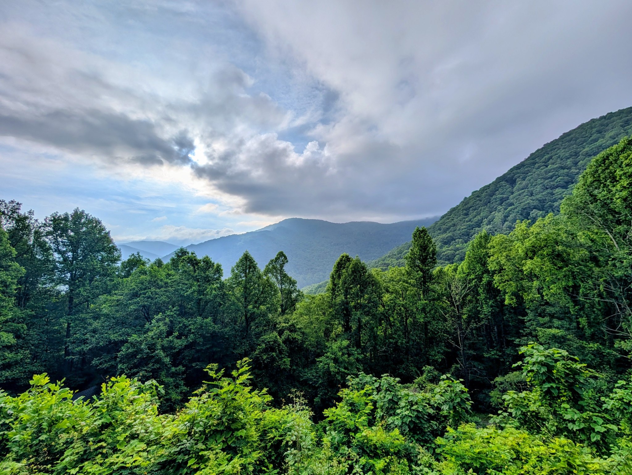Scenic Overlook and Hiking at Greene Valley Forest Preserve, Naperville ...